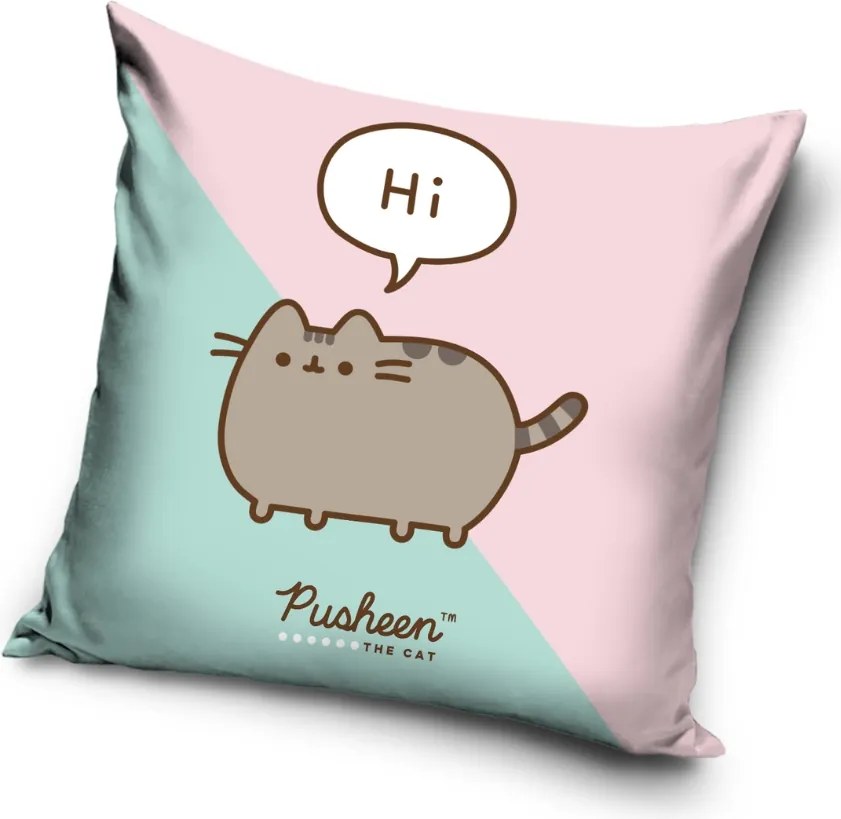 Dětský polštářek Kočička Pusheen Já Košišta