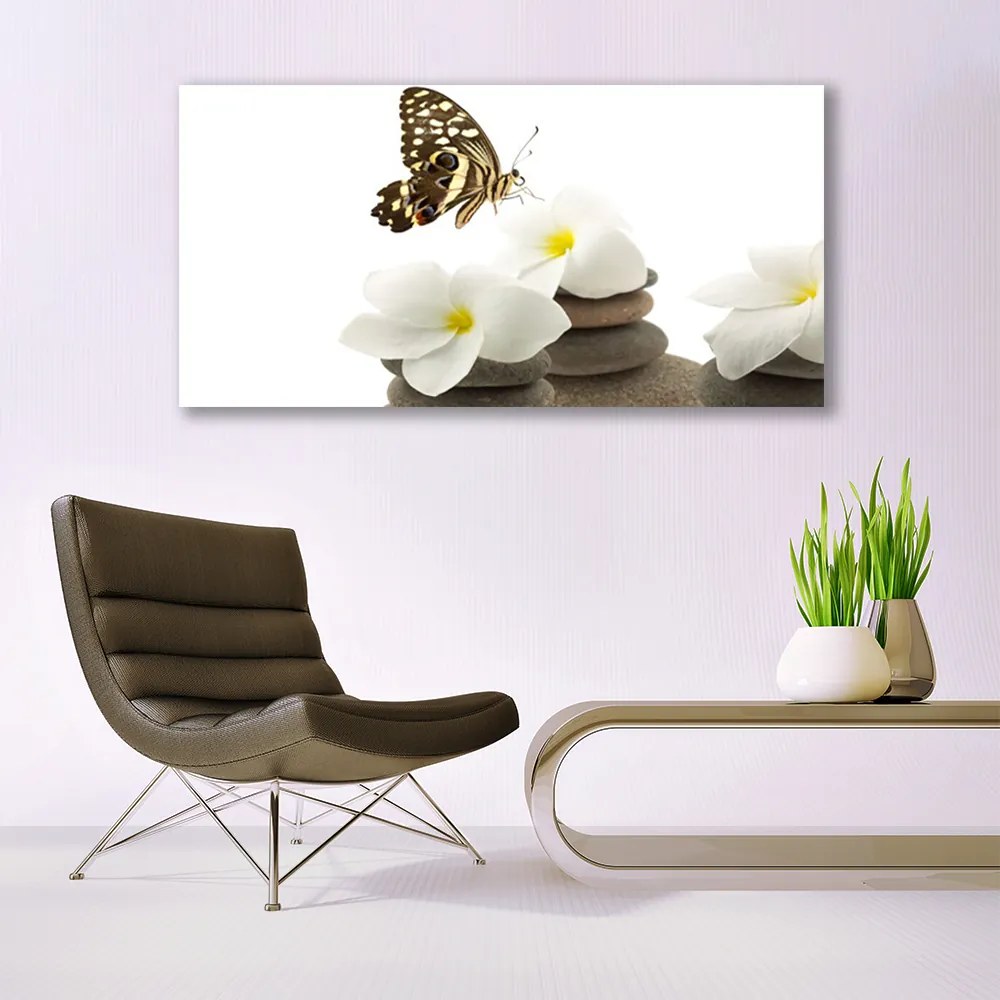 akrylový obraz Motýl Květ Kameny Rostlina 120x60 cm