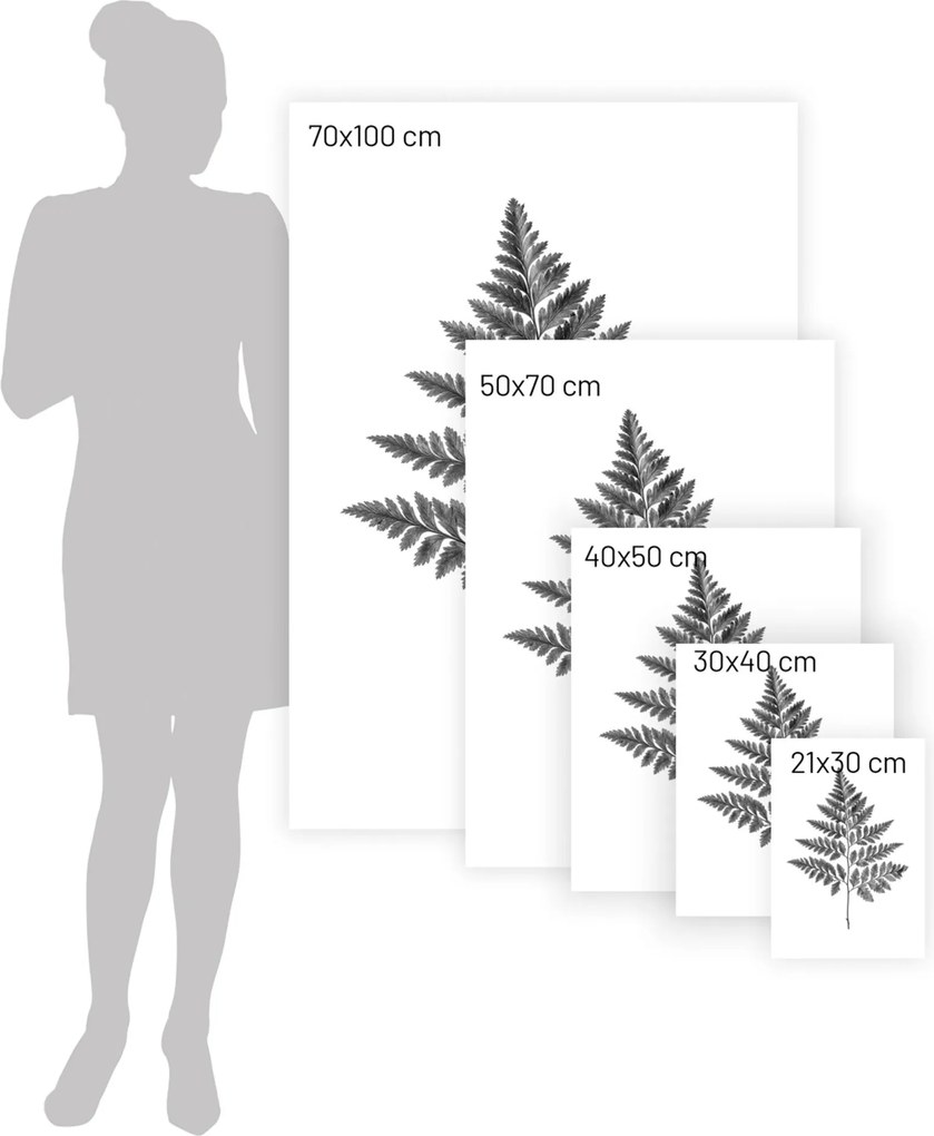 Plakát Fern Grey