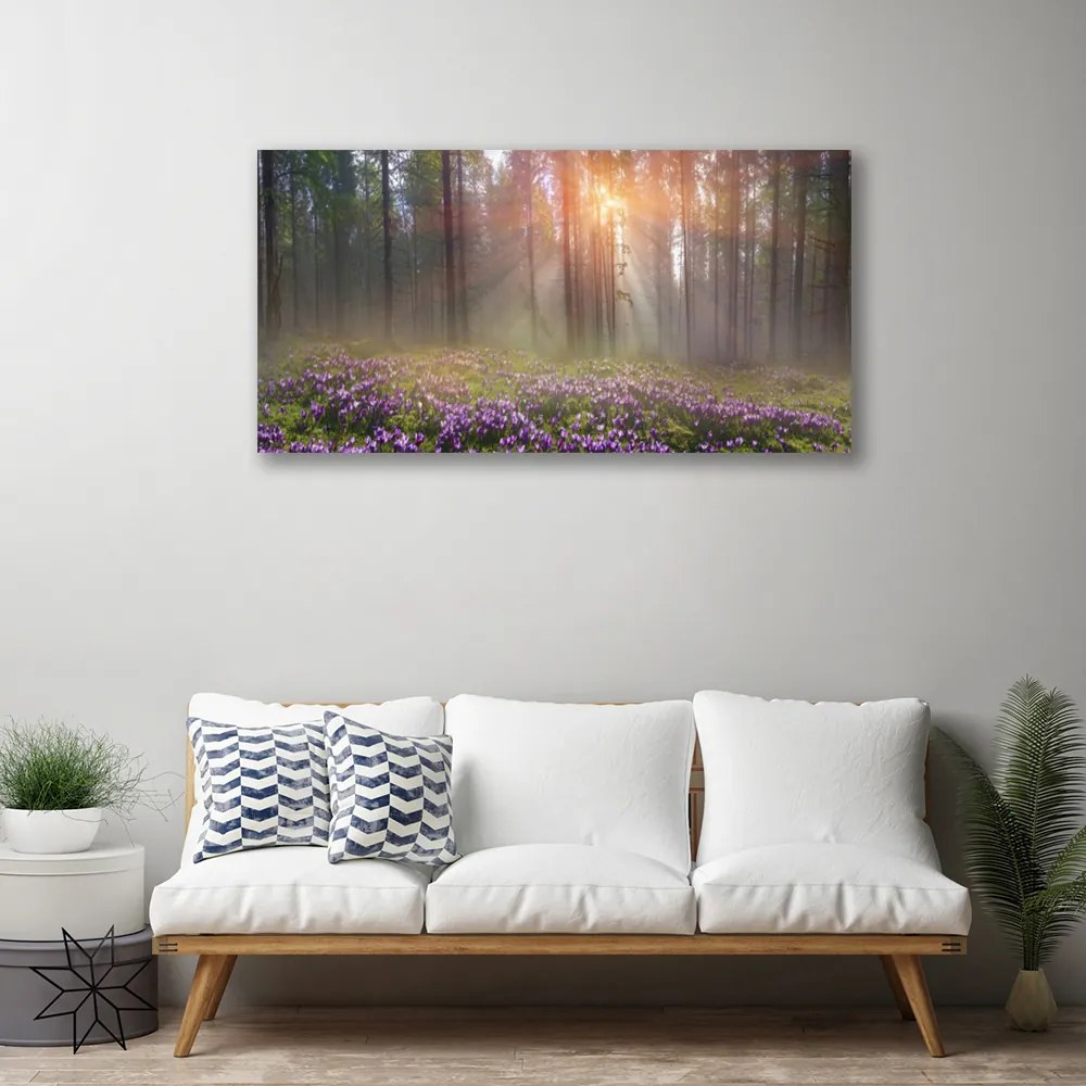 Obraz na plátně Les Květiny Rostlina Příroda 125x50 cm