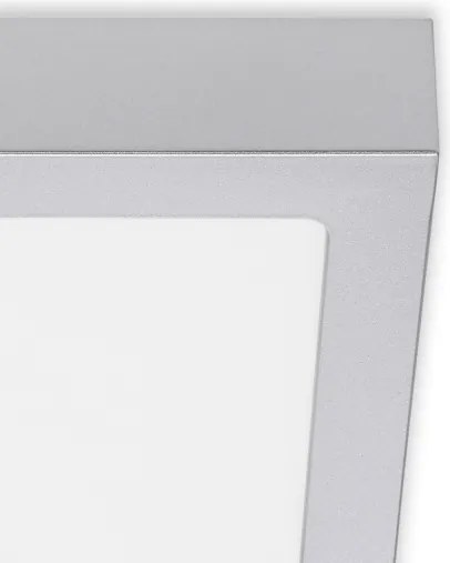 Briloner 7123-414 - LED Stropní svítidlo FIRE LED/12W/230V stříbrná