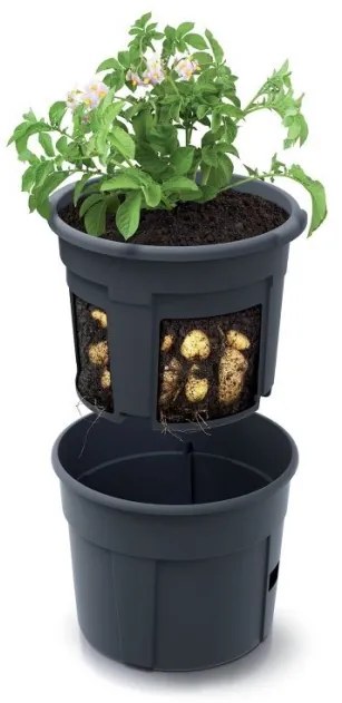 PROSPERPLAST Květináč na pěstování brambor - POTATO GROWER Průměr: 29,5 cm