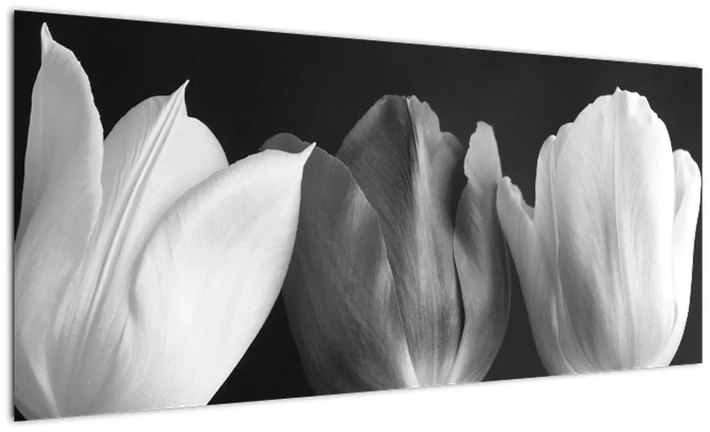 Černobílý obraz - tři tulipány (100x40cm)