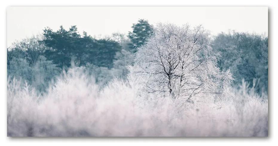 Wallmuralia Foto obraz akrylové sklo Stromy zimou 120x60 cm