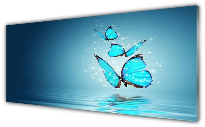 E-shop24, 100 x 50 cm, 1S - 43565598,  Obraz na skle - Motýli modří 100 x 50 cm