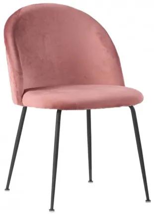 Jídelní židle  GENEVE růžový samet,černé nohy House Nordic 1001255