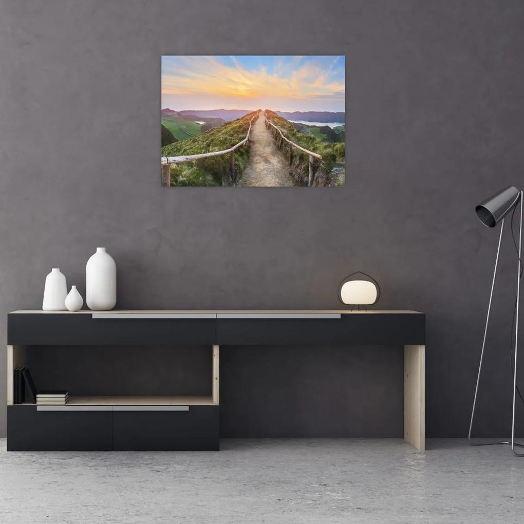 Obraz - Horská stezka (70x50 cm)