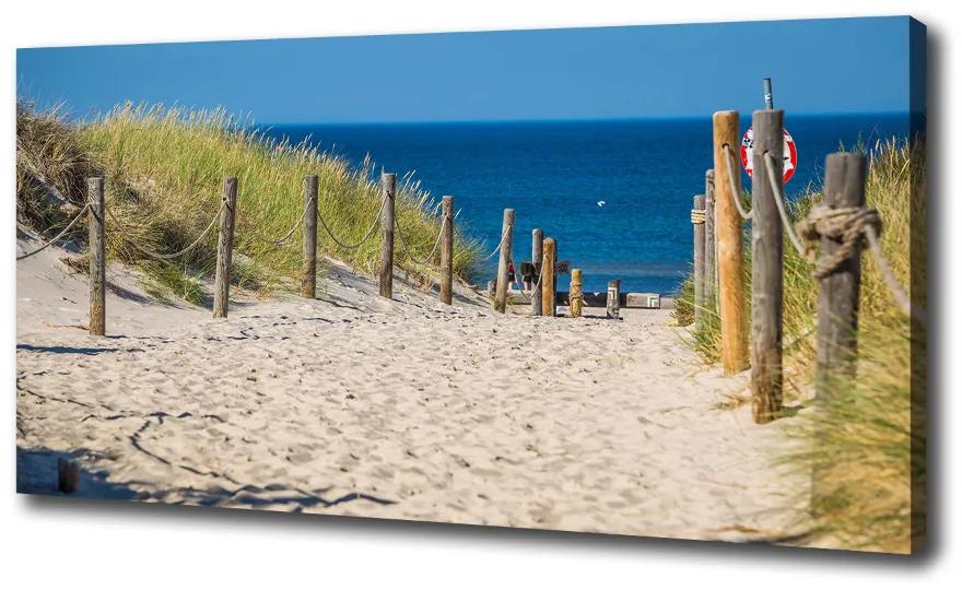 Wallmuralia Foto obraz na plátně Mořské duny 100x50