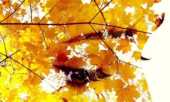 Čtyřdílný obraz tvář podzimu Velikost (šířka x výška): 80x80 cm