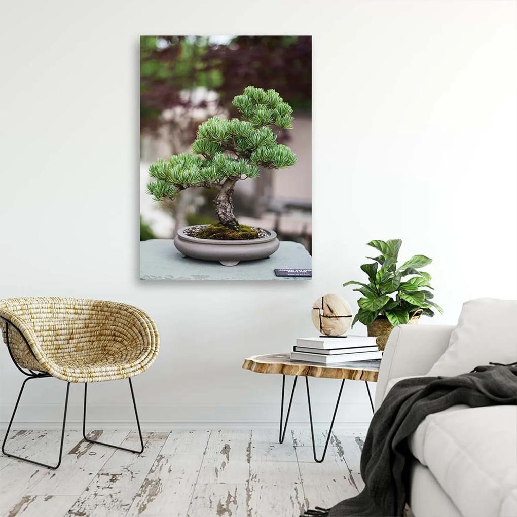 Gario Obraz na plátně Bonsai strom na kamenech Rozměry: 40 x 60 cm
