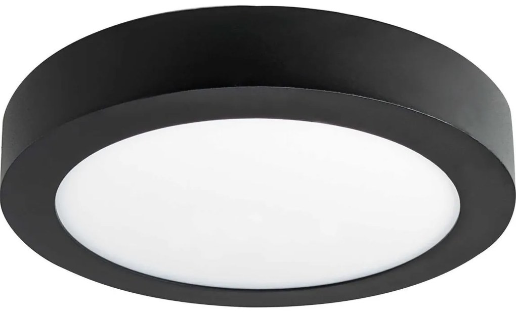 Greenlux LED Stropní svítidlo FENIX LED/12W/230V 2800K pr. 17 cm GXDW363