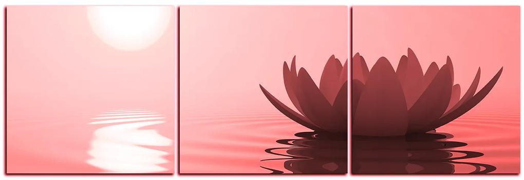Obraz na plátně - Zen lotus - panoráma 5167CB (120x40 cm)