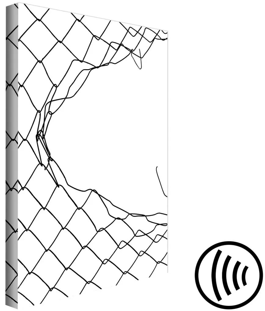Obraz Roztrhaná síť (1 panel) vertikální