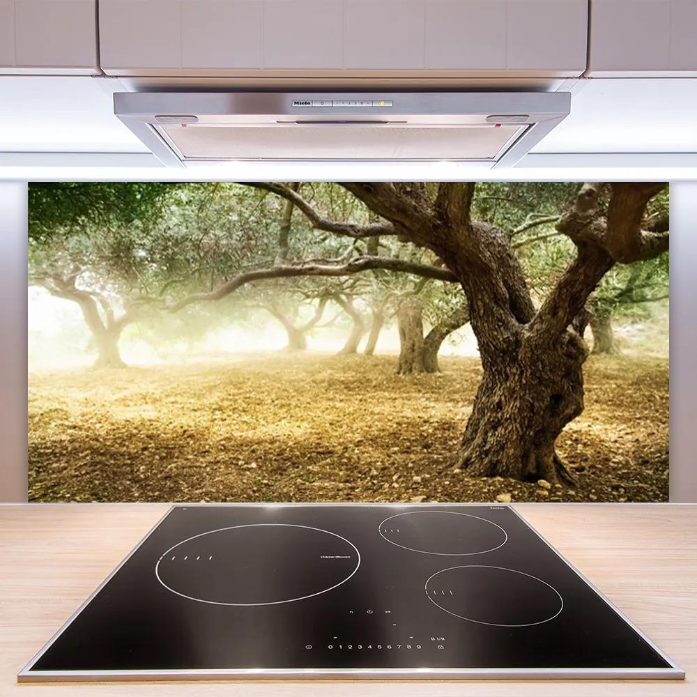 Kuchyňský skleněný panel Strom Tráva Příroda 100x50 cm