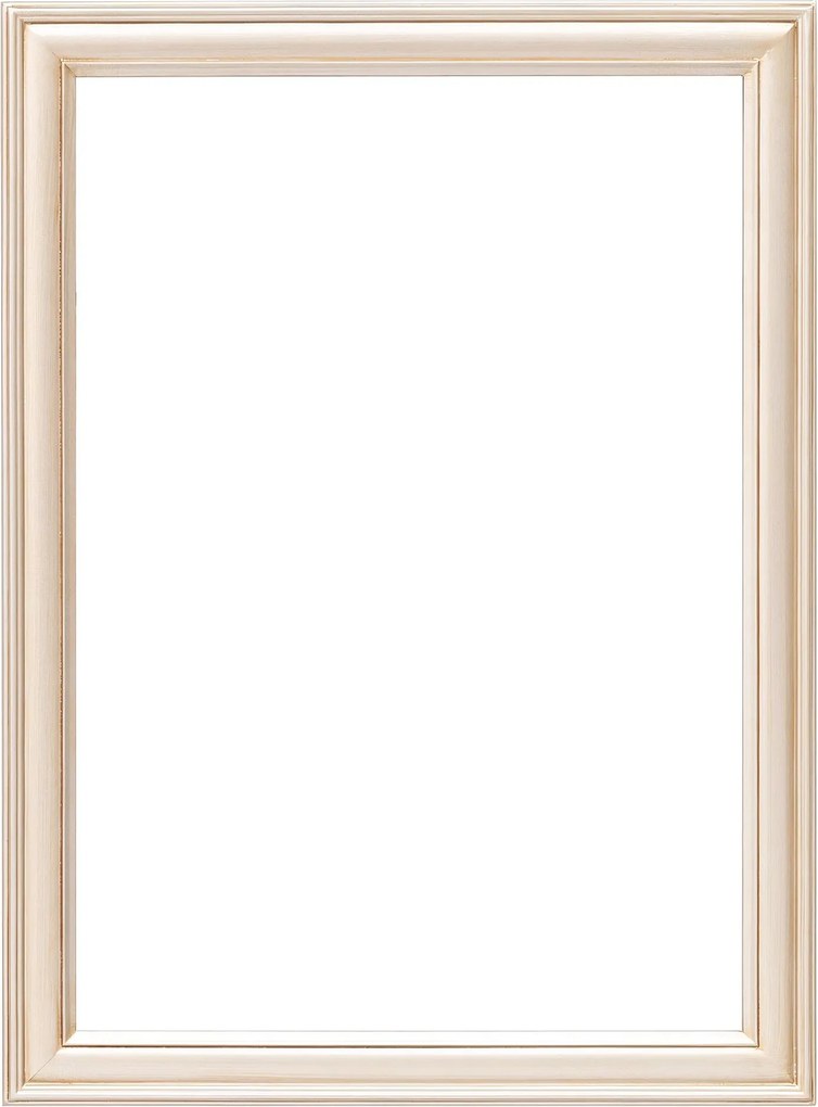 Rama Ricca 60x80cm silver