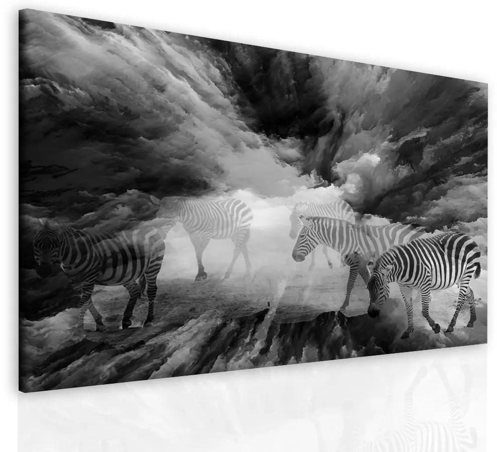 Obraz black and white (90x60 cm) - InSmile ®
