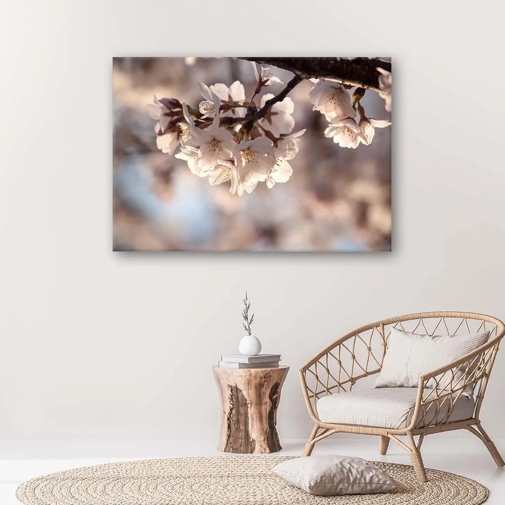 Gario Obraz na plátně Třešňový květ Rozměry: 60 x 40 cm