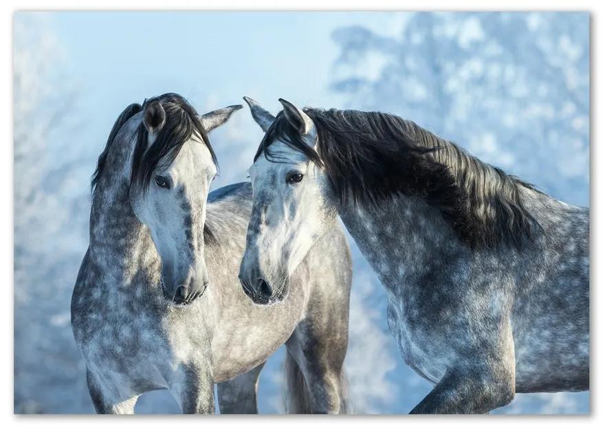 Wallmuralia Foto obraz akrylové sklo Zima šedý kůň 100x70