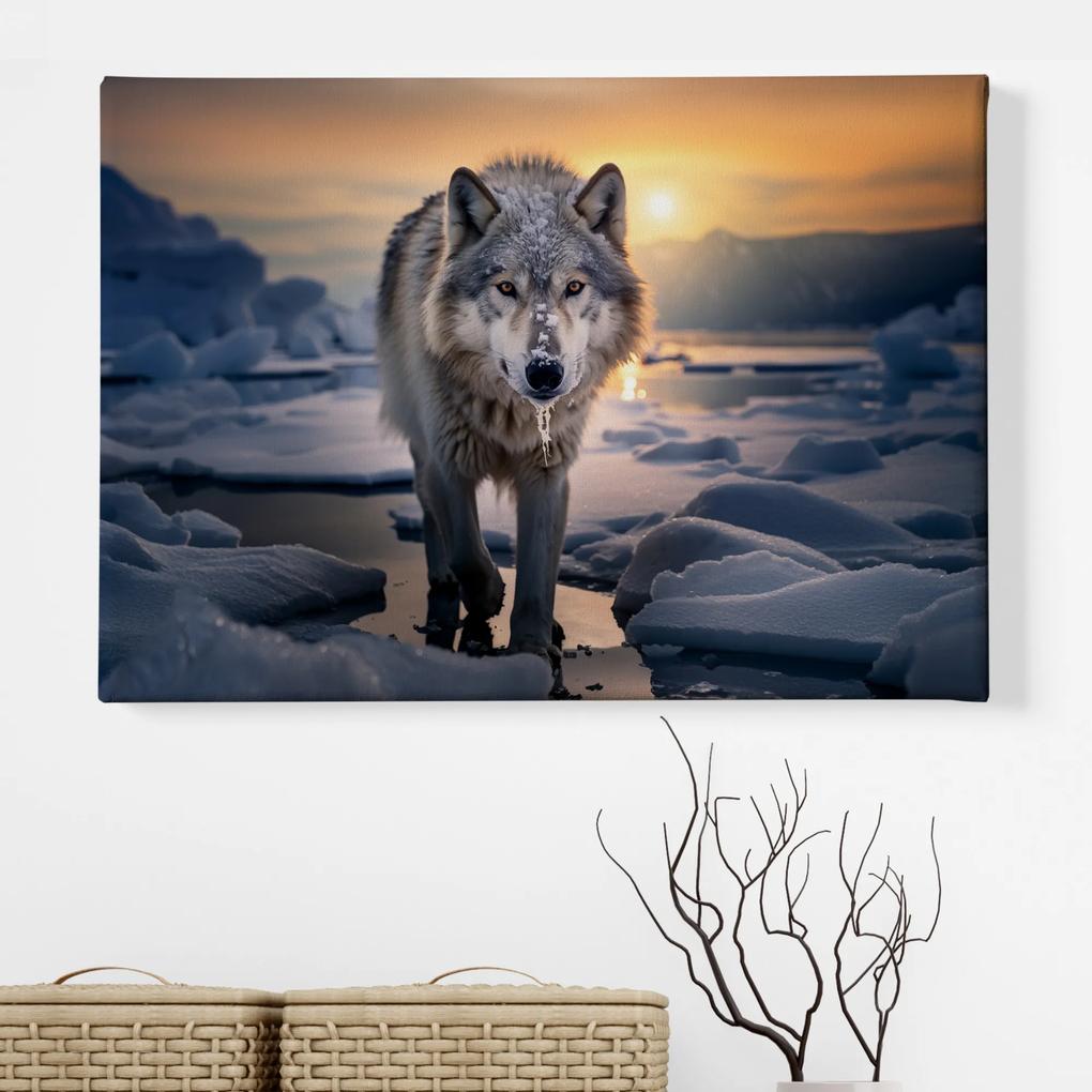 Obraz na plátně - Zmrzlý vlk na zasněženém jezeře FeelHappy.cz Velikost obrazu: 120 x 80 cm