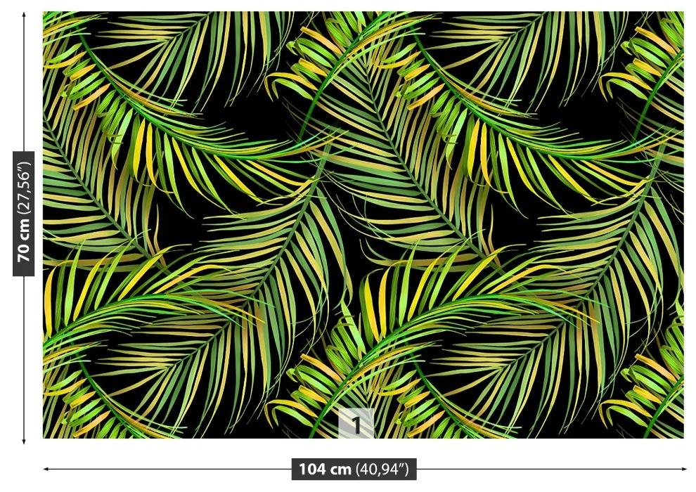 Fototapeta palmové listy