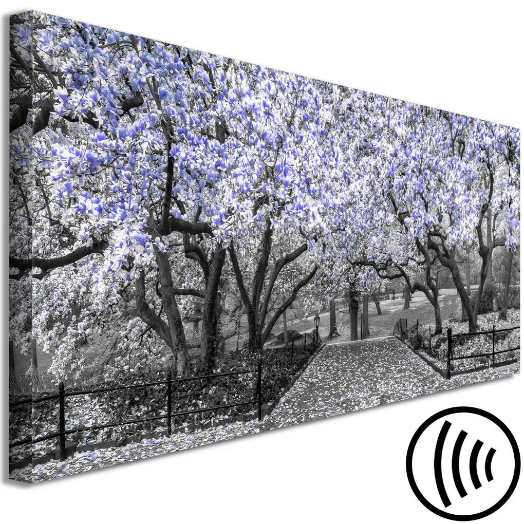 Obraz Kvetoucí magnólie - horizontální kompozice s magnólií v odstínech fialové