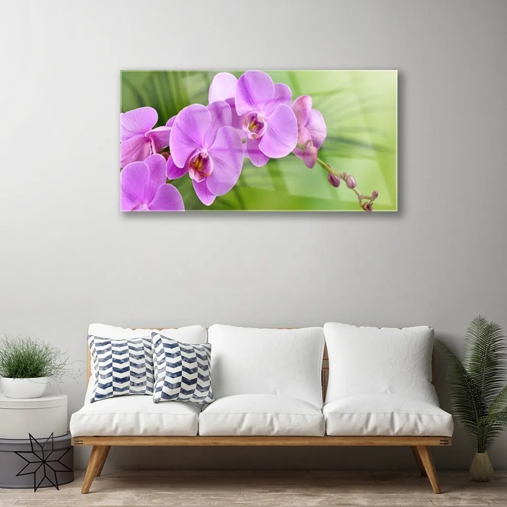 Obraz na skle Vstavač Orchidej Květiny 100x50 cm