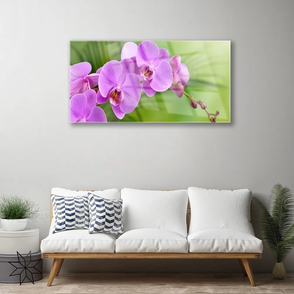 Obraz na skle Vstavač Orchidej Květiny 120x60 cm