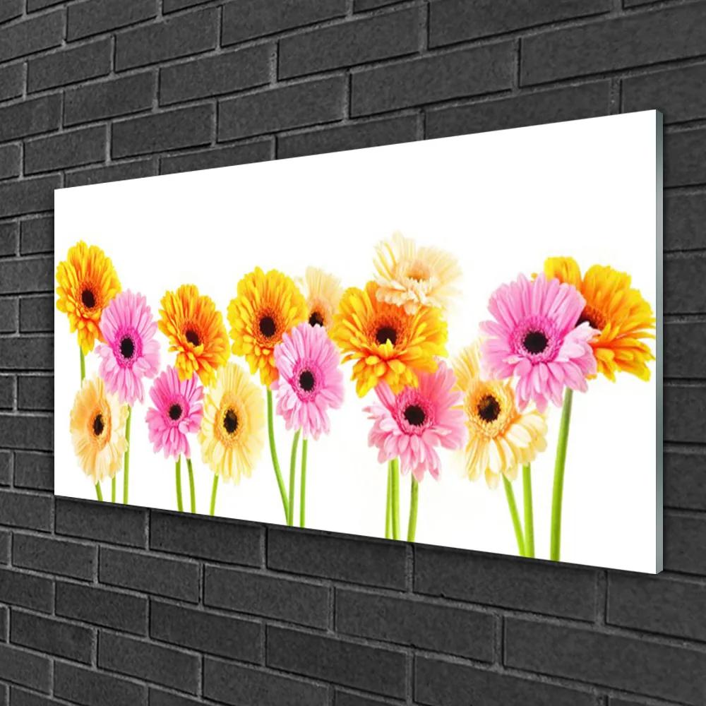 Obraz na skle Barevné Květiny Gerbery 120x60 cm