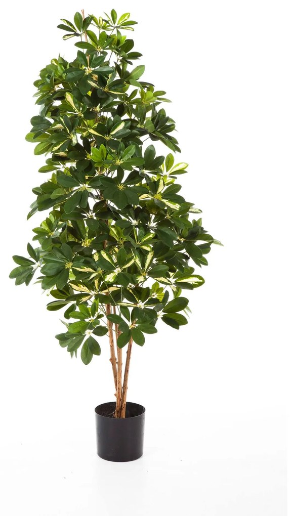 Schefflera umělá V 170 cm