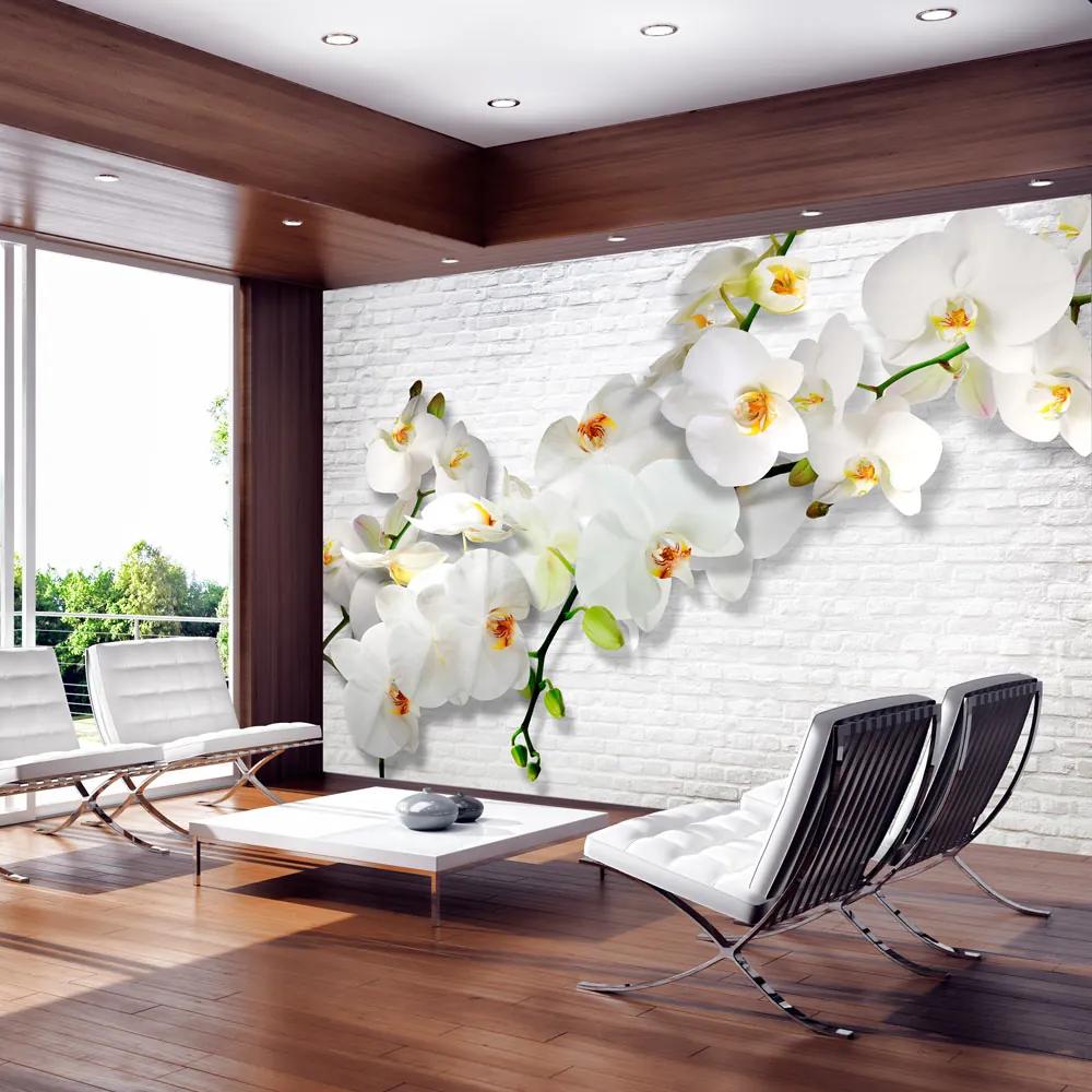 Fototapeta - Bílá orchidej II 400x280 + zdarma lepidlo