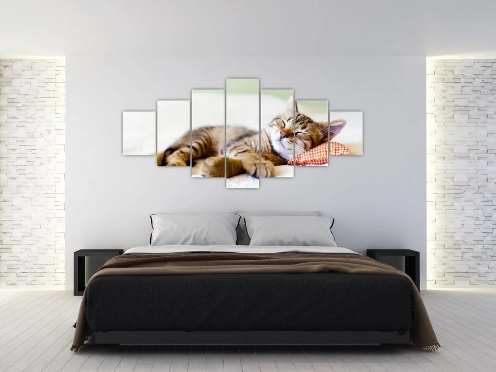 Obraz - Spící kotě (210x100 cm)