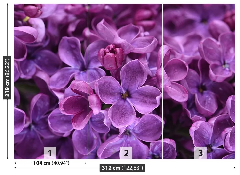 Fototapeta Fialové květy 104x70
