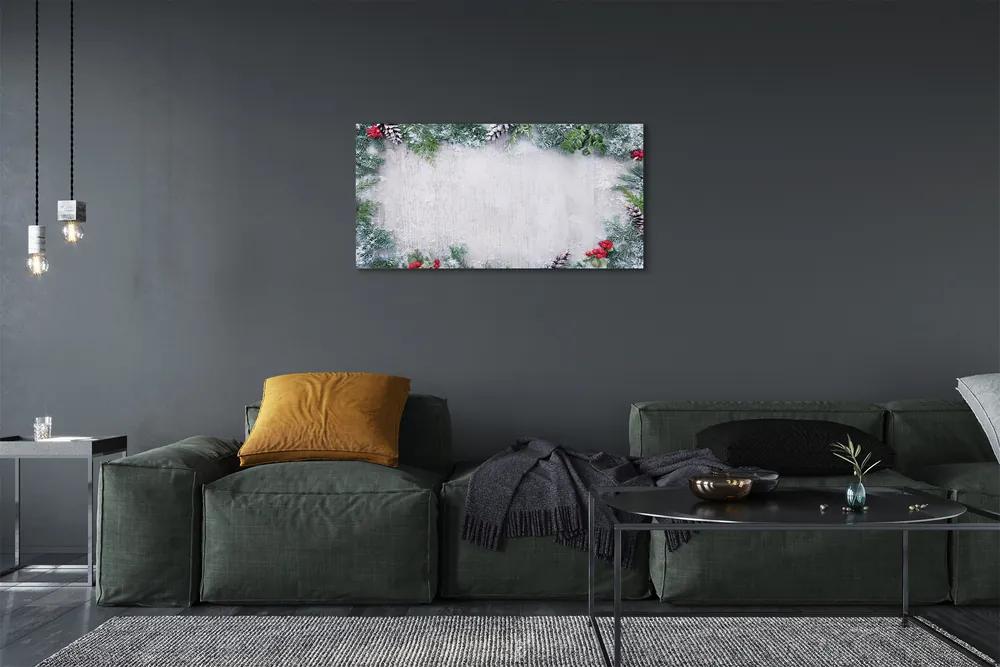 Obrazy na plátně Sněhové šišky, větvičky 100x50 cm