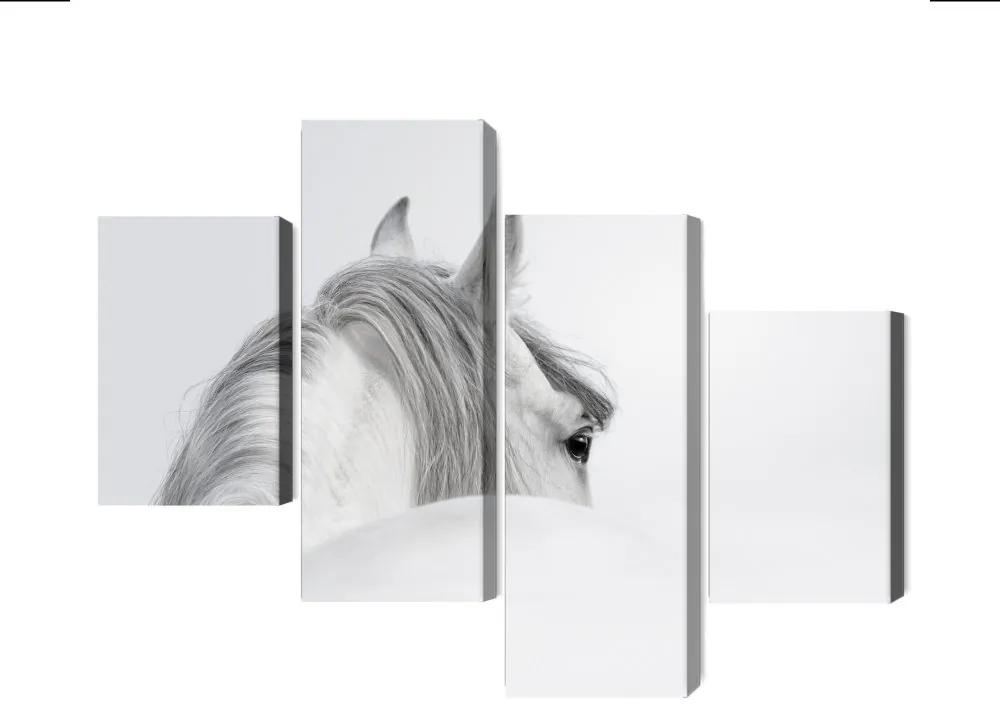 Vícedílný obraz Andaluský Kůň V Mlze Nedostatek Nedostatek Plátno Canvas 120x75