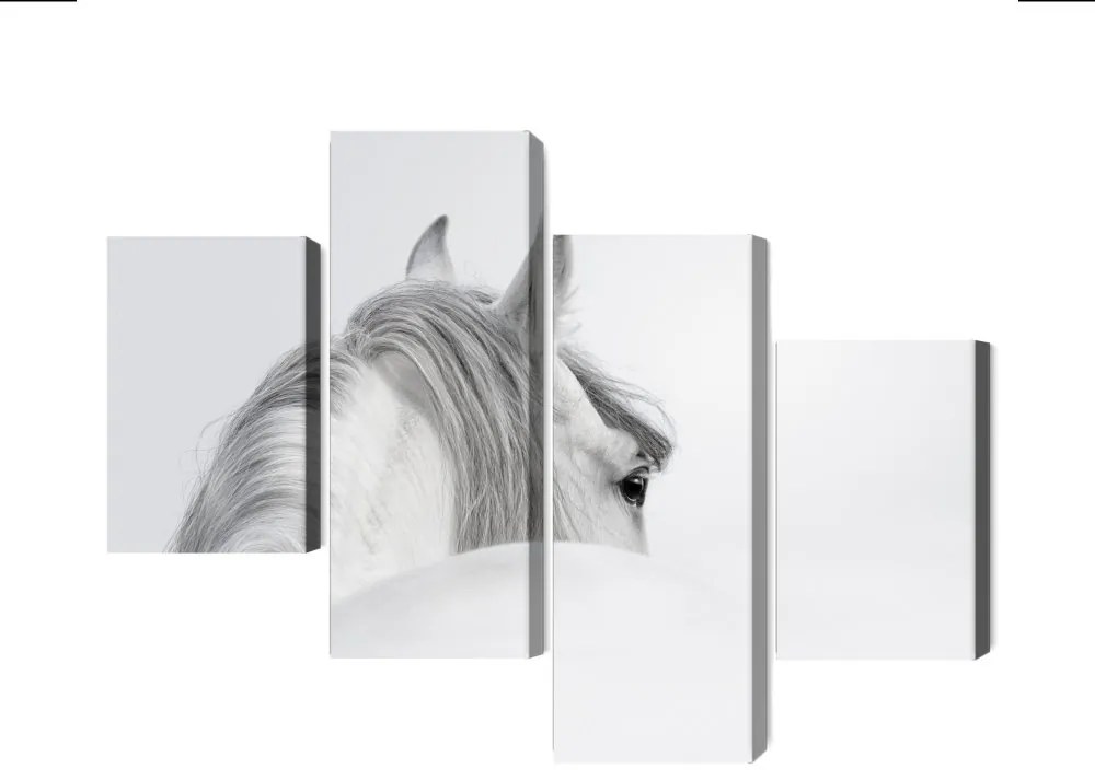 Vícedílný obraz Andaluský Kůň V Mlze Nedostatek Nedostatek Přírodní plátno 160x100