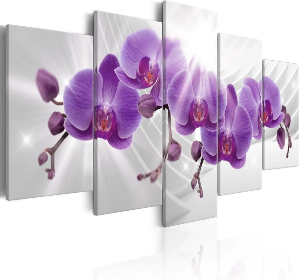 Murando DeLuxe Pětidílné obrazy - fialová orchidej  200x100 cm