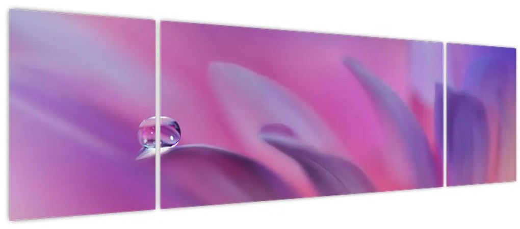 Obraz - Kapka na květu (170x50 cm)