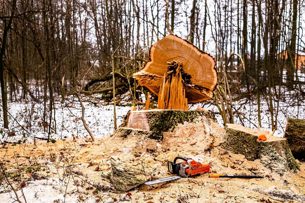 Nástěnné hodiny - Dub, Čárky, Stříbrné ručičky