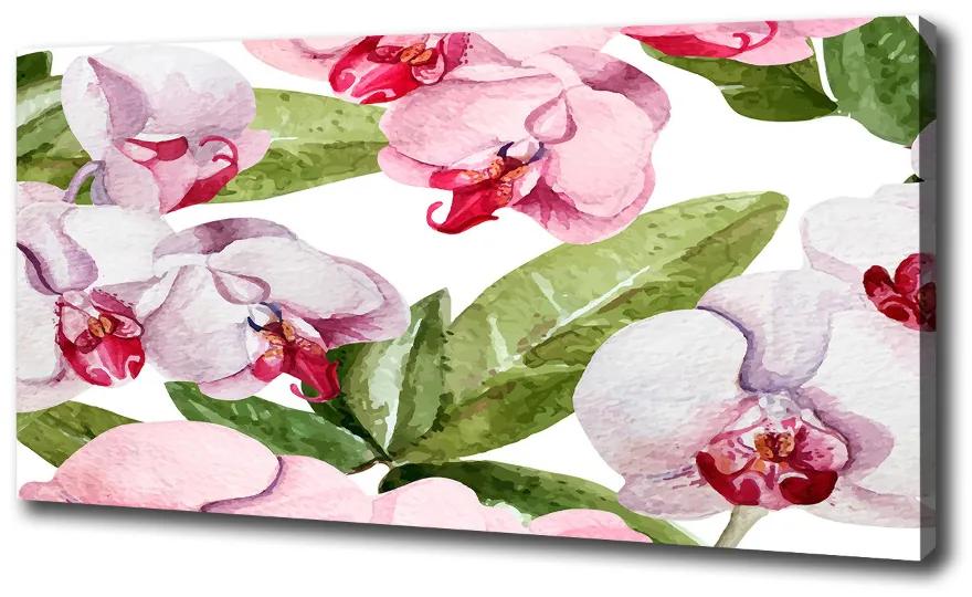 Wallmuralia Foto obraz na plátně Růžové orchideje 100x50