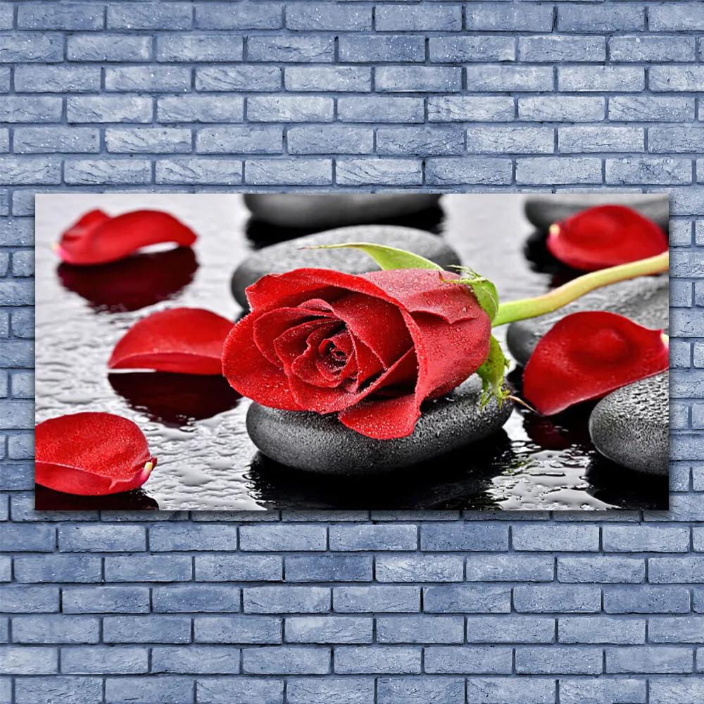 Plexisklo-obraz Růže Květ Kameny Zen 120x60 cm