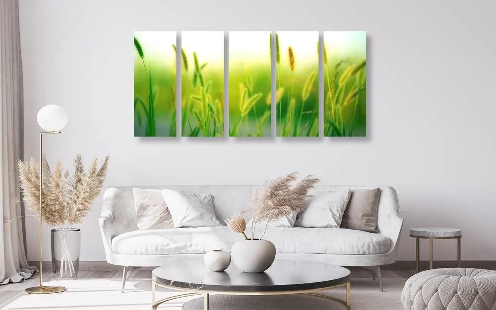 5-dílný obraz stébla trávy v zeleném provedení Varianta: 100x50