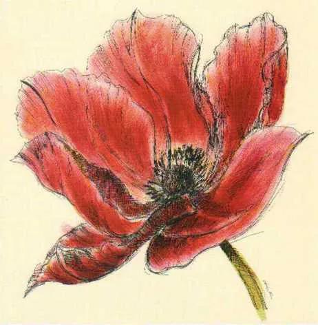 ART-STYLE Obrázek 18x18, květ červený, rám bílý s patinou