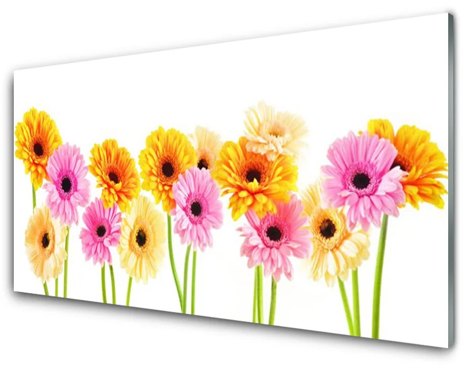 akrylový obraz Barevné Květiny Gerbery 125x50 cm