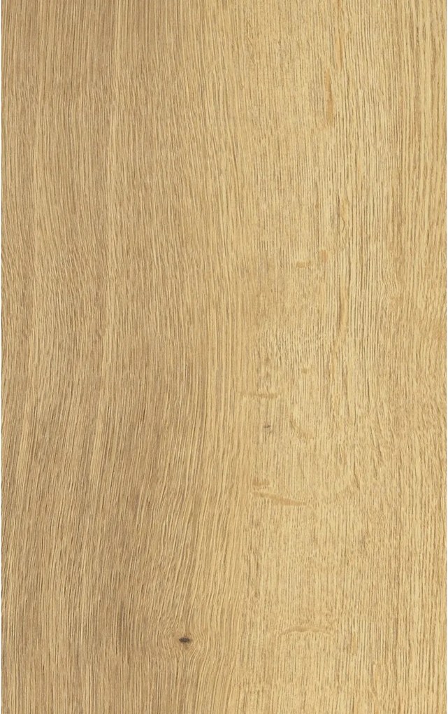 Obklad CCR160-1 Wood 25 x 40 cm