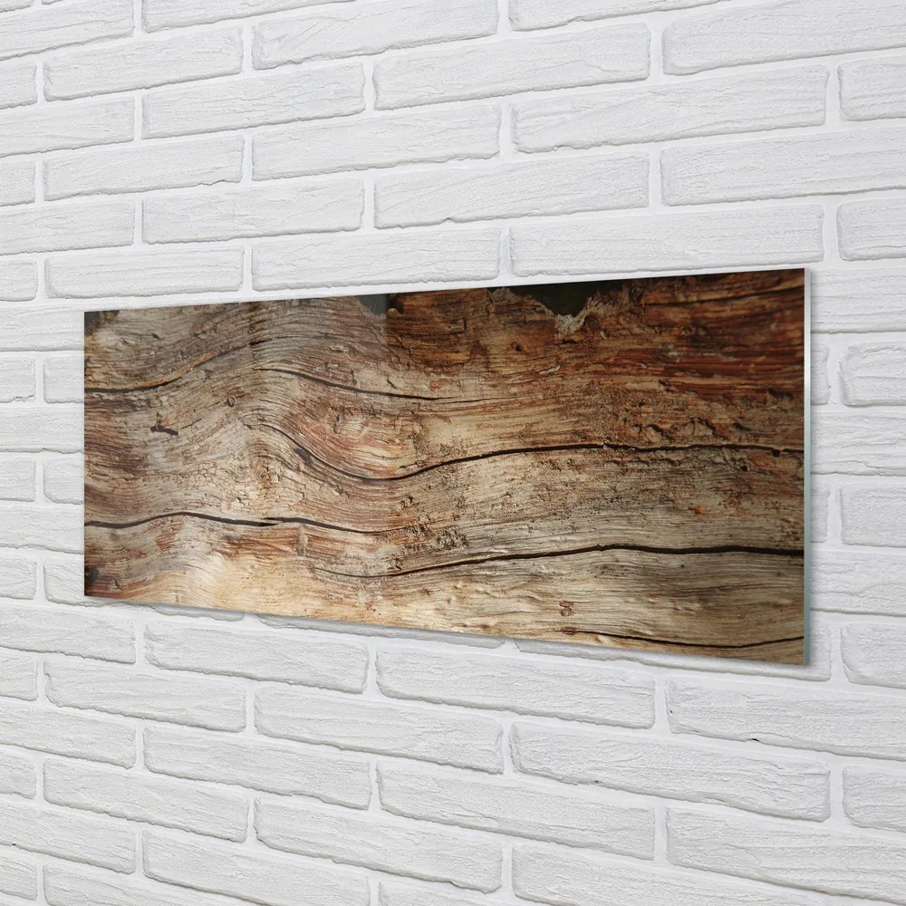akrylový obraz Dřeva board 120x60 cm
