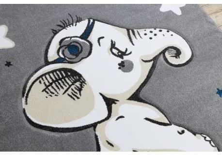 koberec PETIT ELEPHANT SLONÍK, HVĚZDY, šedý velikost 180x270 cm | krásné koberce cz