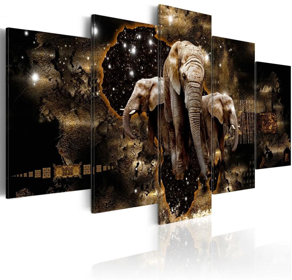 Obraz - Brown Elephants - 100x50