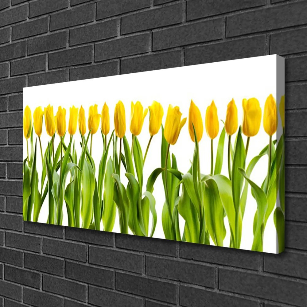 Obraz na plátně Tulipány Květiny Příroda 100x50 cm