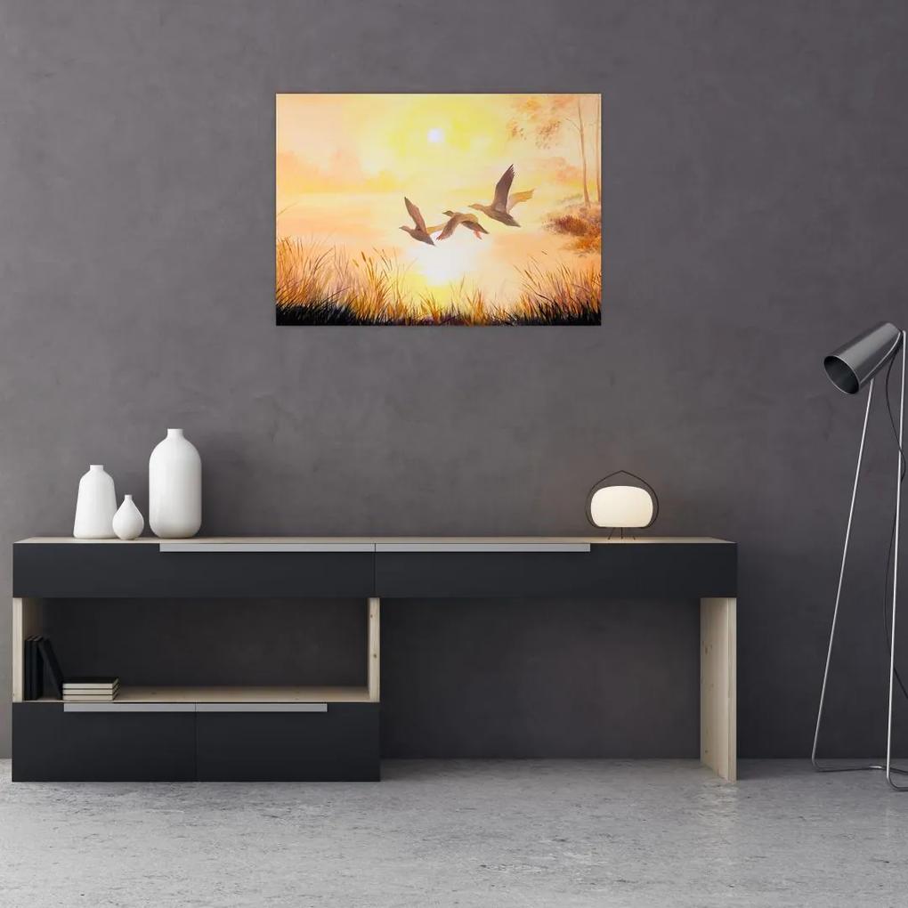 Skleněný obraz - Jeřábi při západu slunce (70x50 cm)