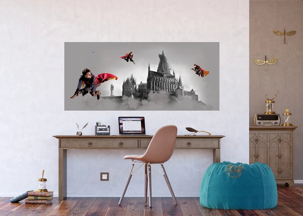Dětská vliesová fototapeta na zed' Harry Potter Famfrpálové Trio | 170 x 75 cm | DFTDNH5517
